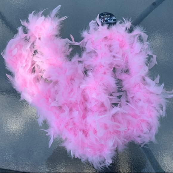 Accessories | 6 Foot Pink Feather Boas | Poshmark